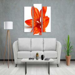 Canvas Printing. High Quality Full Color Canvas Printing
